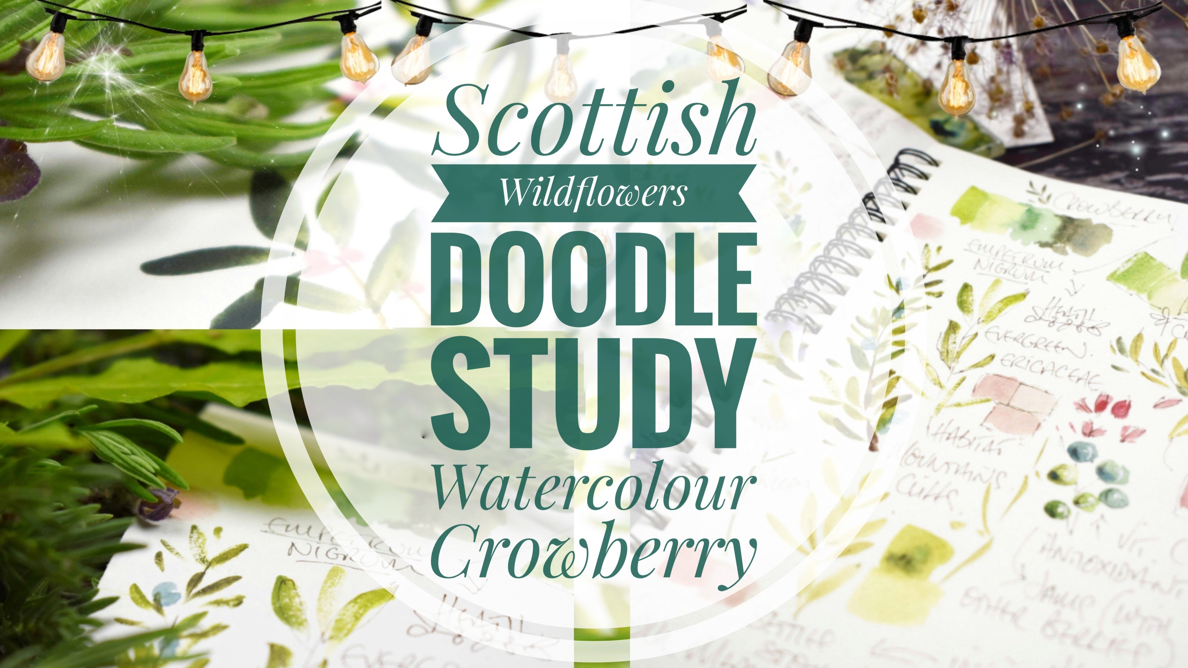 Scottish Wildflowers - Watercolour Crowberry Doodle - 2 Studies | Holly ...